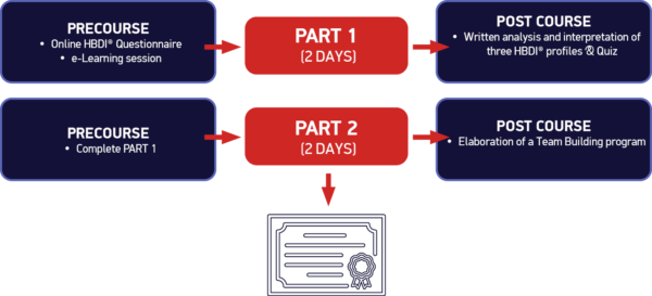 TTM Certification: Whole Brain Technology® - TTM Associates